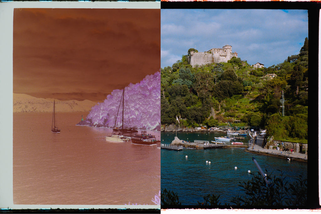 Introducing SpectraCOLOR™: Unlocking a New Era for Film Conversion ...